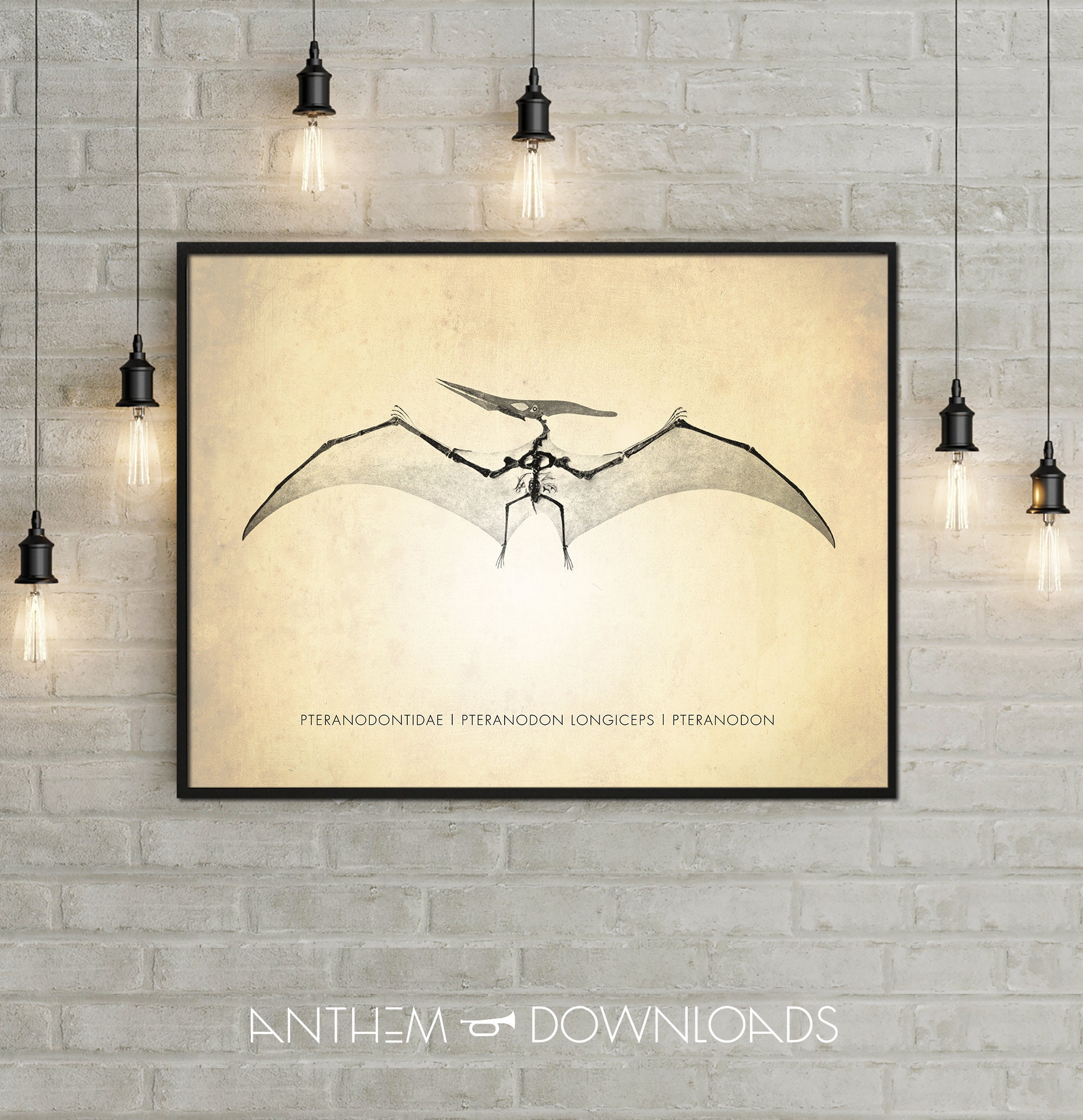 Pteranodon Art Print Dinosaur Poster Natural History Chart - Etsy