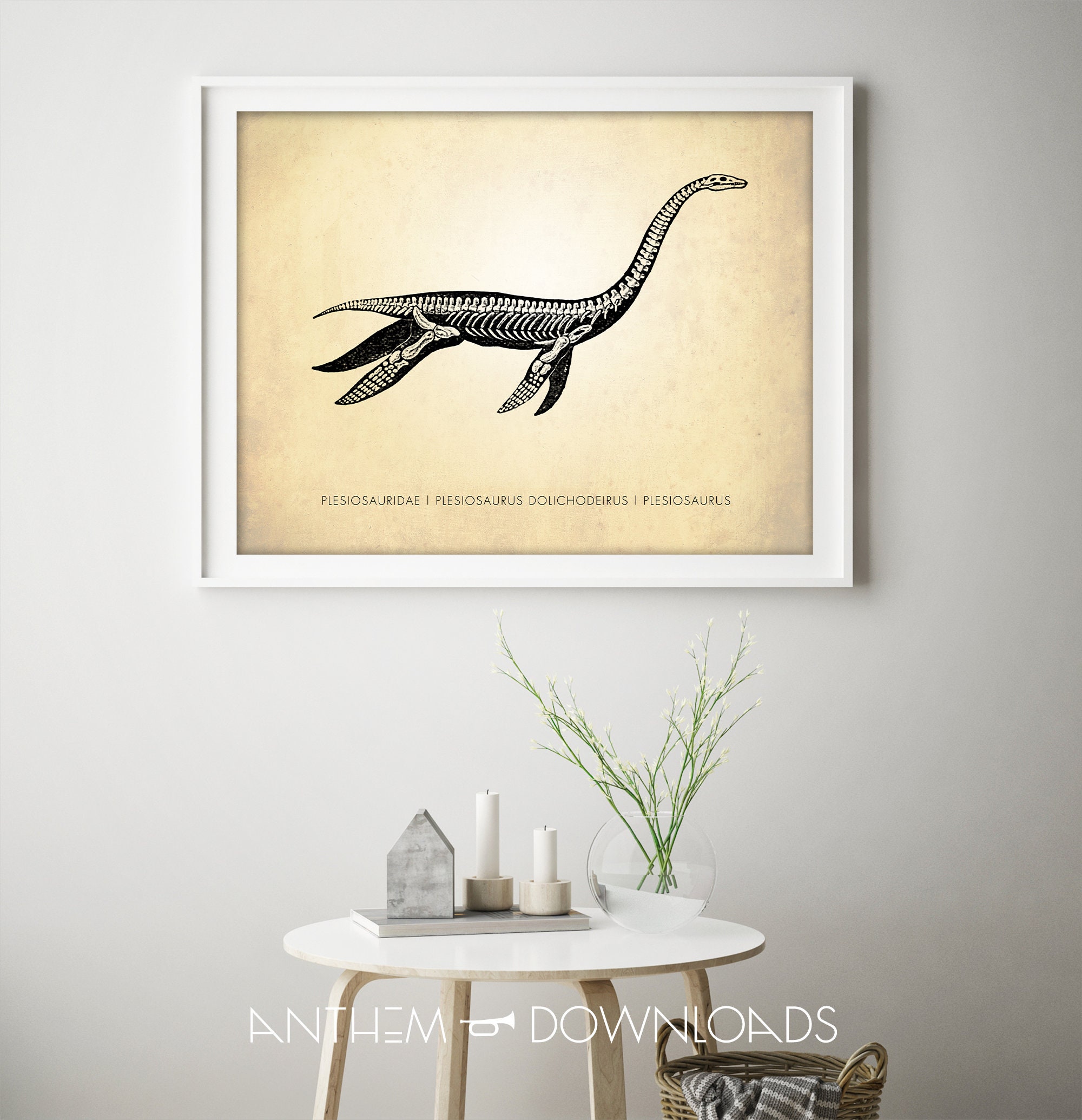Plesiosaurus Art Print - Dinosaur Poster - Natural History Chart ...