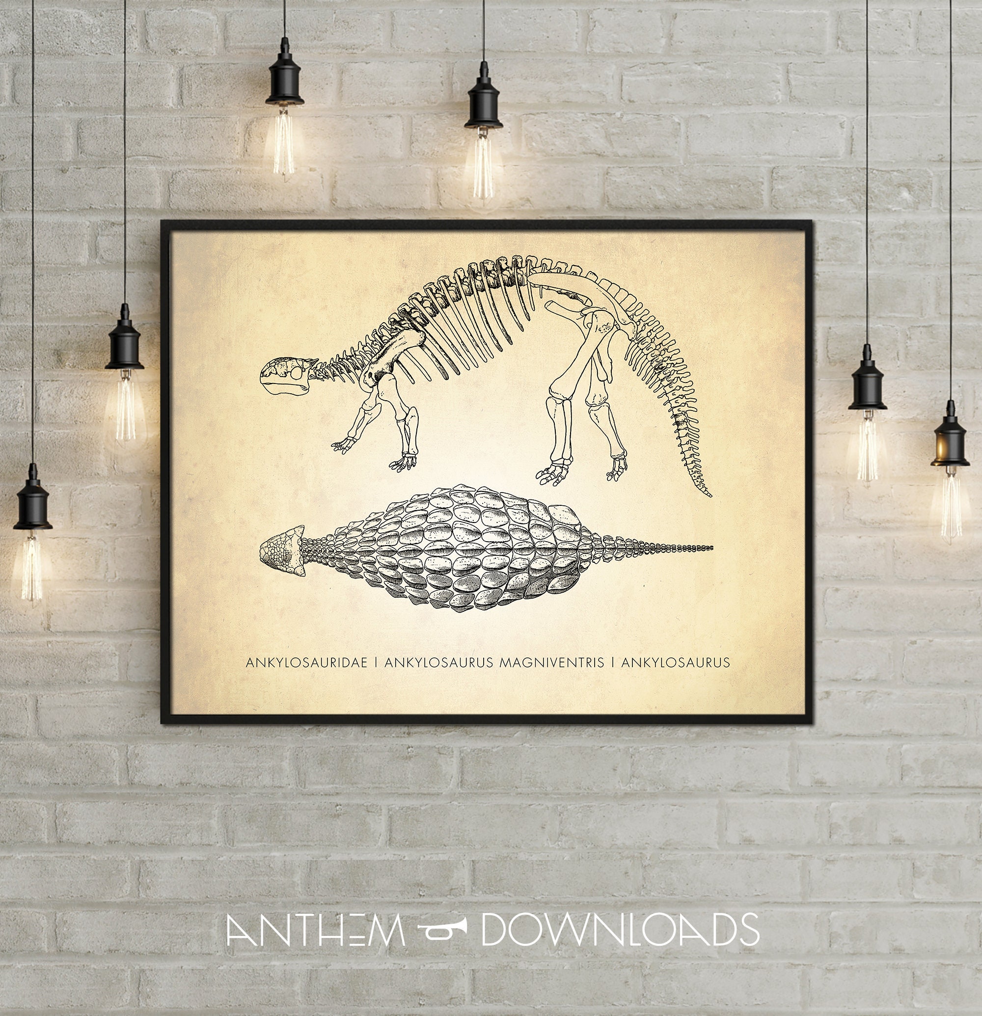 Ankylosaurus Art Print - Dinosaur Poster - Natural History Chart ...
