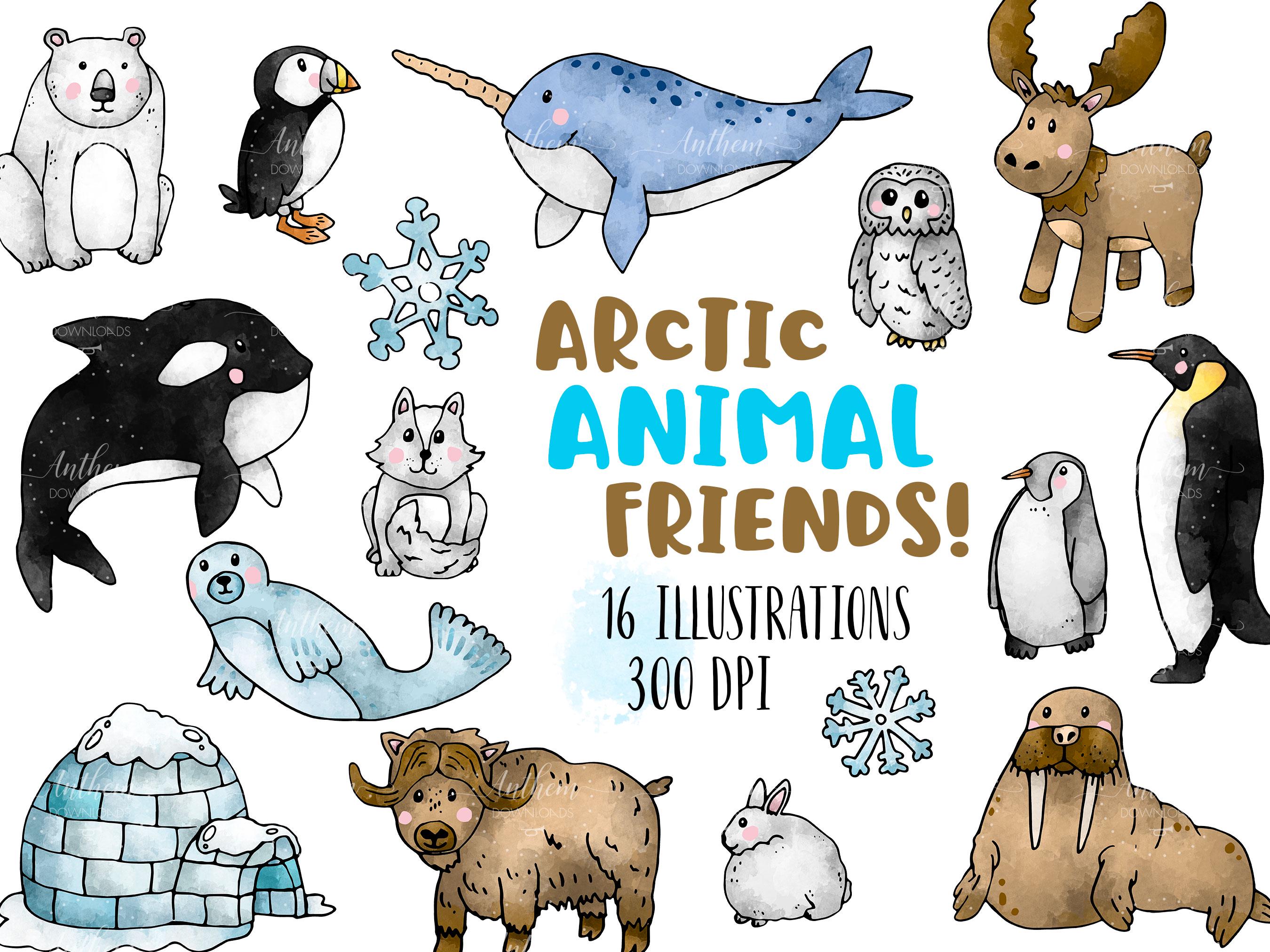 ARCTIC ANIMALS Watercolor Clipart - Cute Winter Critter Printables ...