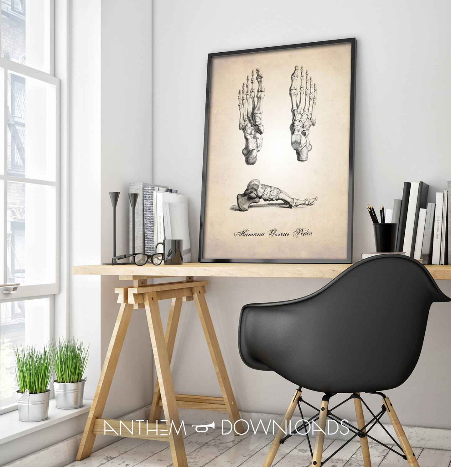 Human Anatomy - Foot Art Print - Printable - Feet Illustration ...