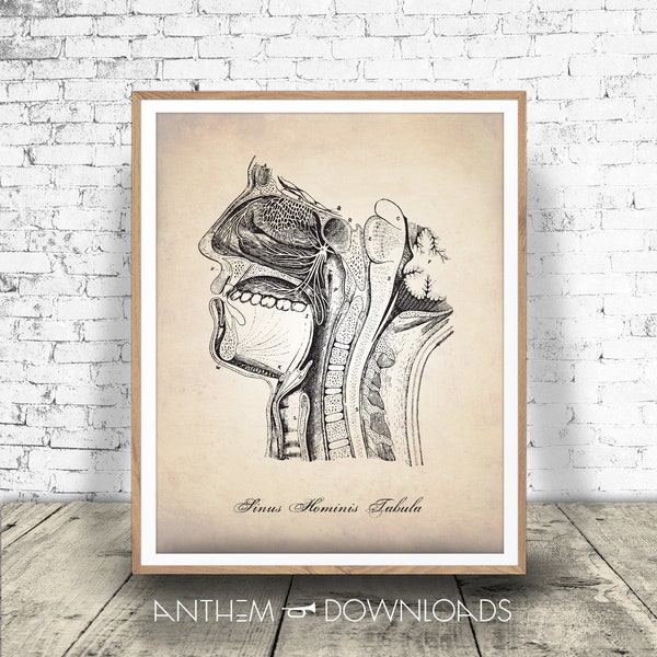 Human Anatomy Print - Etsy