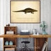 Crocodile Art Print Reptile Poster Natural History Wall Art Kids Room ...
