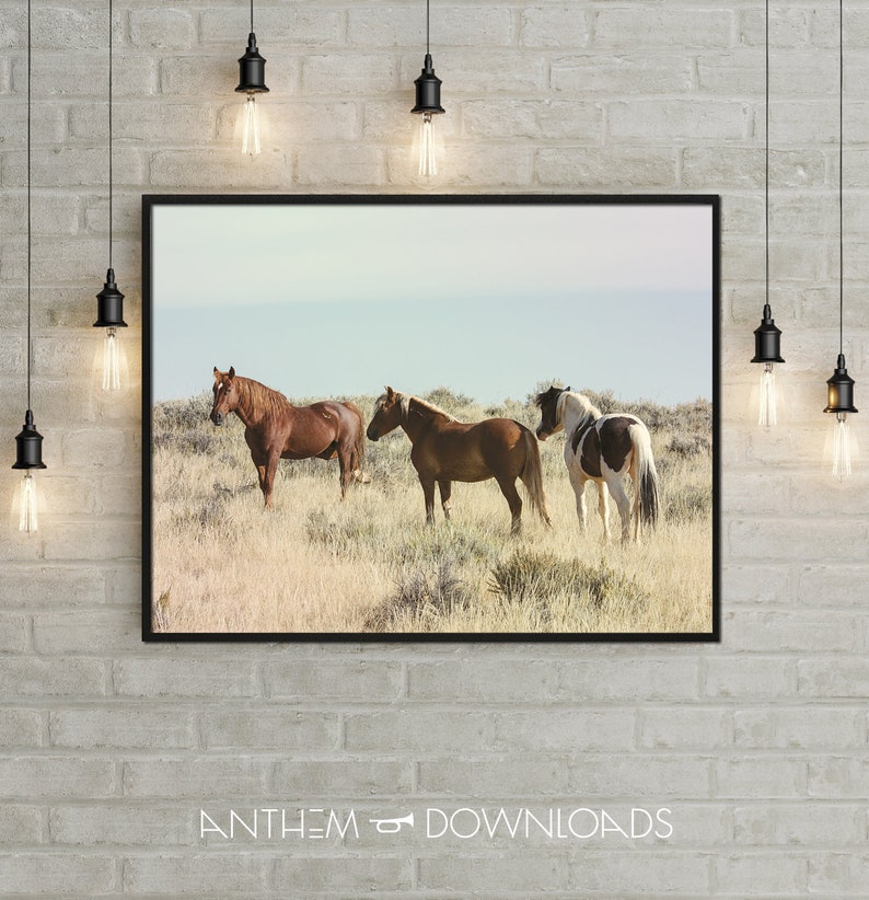Wild Horses Art Print - Horse Farm Poster - Stallion Photo - Equestrian ...