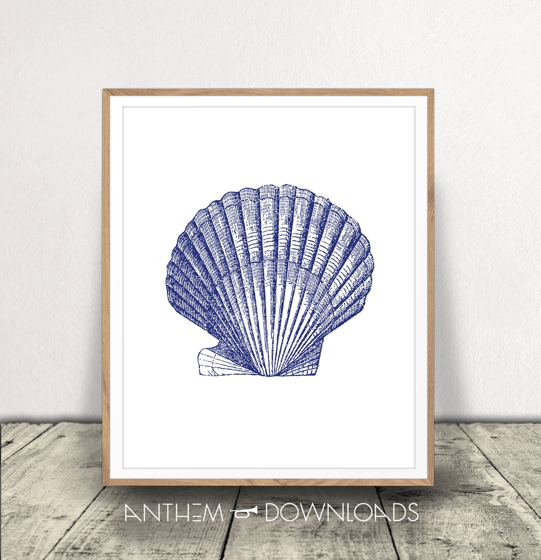 Seashell Art Print and Nautical Art for Beach House Wall Art Scallop ...