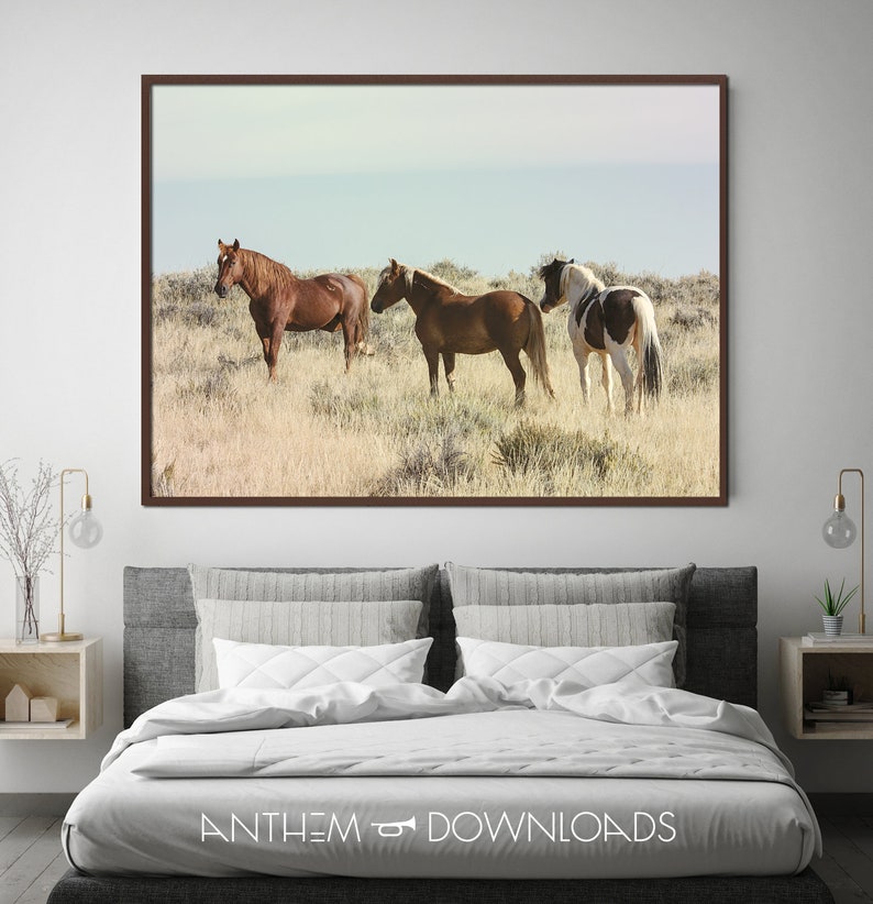 Wild Horses Art Print - Horse Farm Poster - Stallion Photo - Equestrian ...