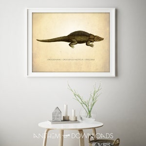 Crocodile Art Print Reptile Poster Natural History Wall Art Kids Room ...