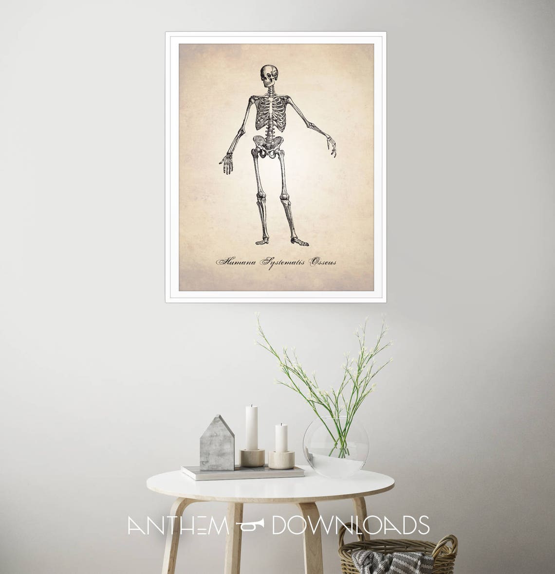 Skeletal System Art Print Human Anatomy Wall Art Skeleton - Etsy