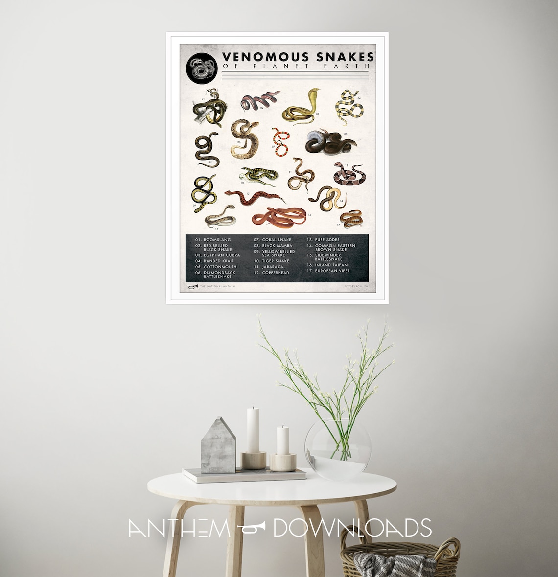 Snake Chart Venomous Snakes of Planet Earth Natural History | Etsy