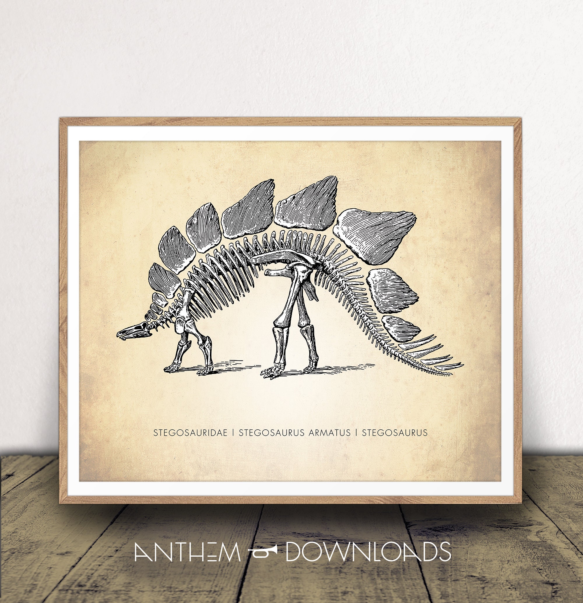 Stegosaurus Art Print Dinosaur Poster Natural History - Etsy
