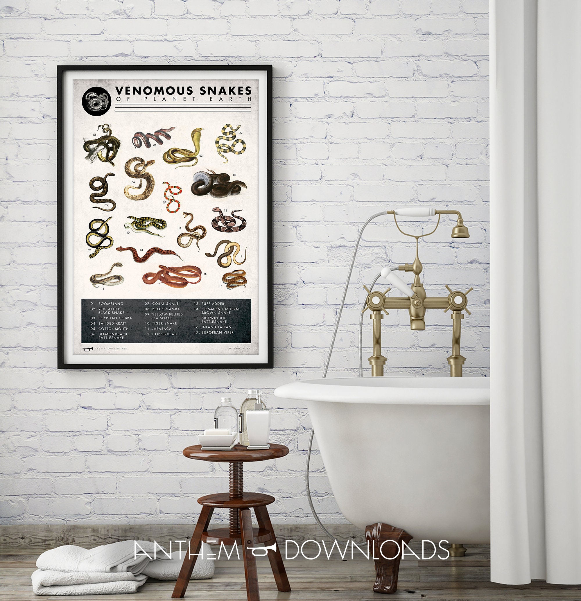Snake Chart - Venomous Snakes of Planet Earth - Natural History Poster ...