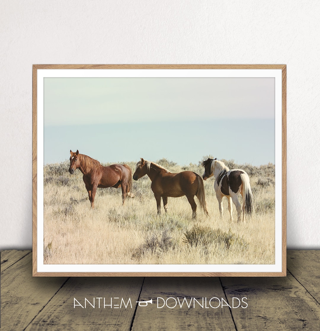 Wild Horses Art Print - Horse Farm Poster - Stallion Photo - Equestrian ...