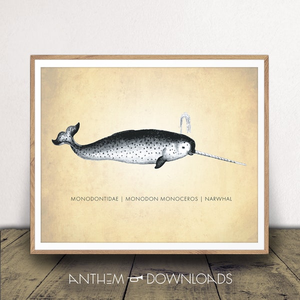 Narwhal Print - Etsy