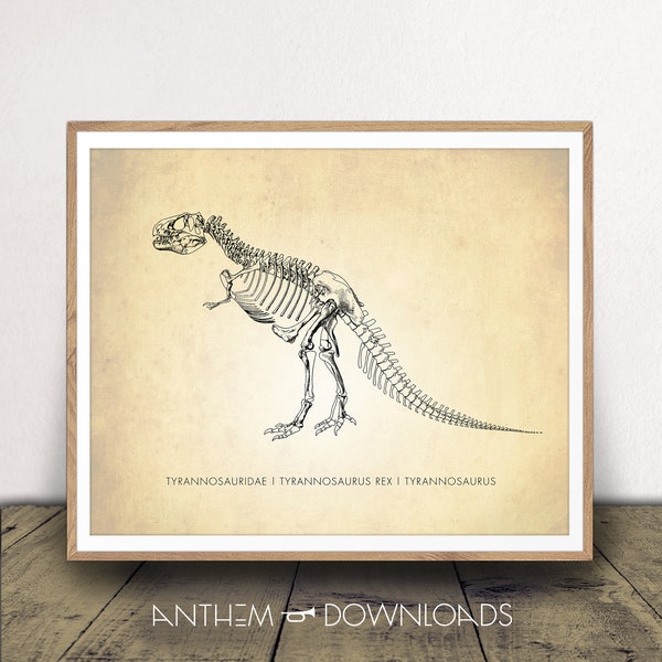 Tyrannosaurus Rex Chart Poster - Etsy