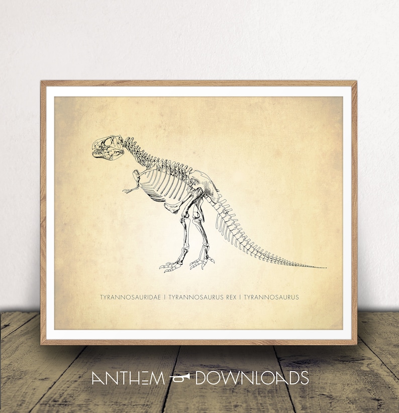 Tyrannosaurus Rex Art Print - T-REX Poster - Natural History Chart ...