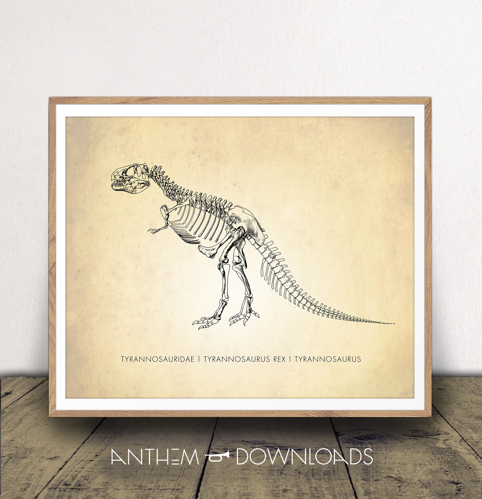 Tyrannosaurus Rex Art Print - T-REX Poster - Natural History Chart ...