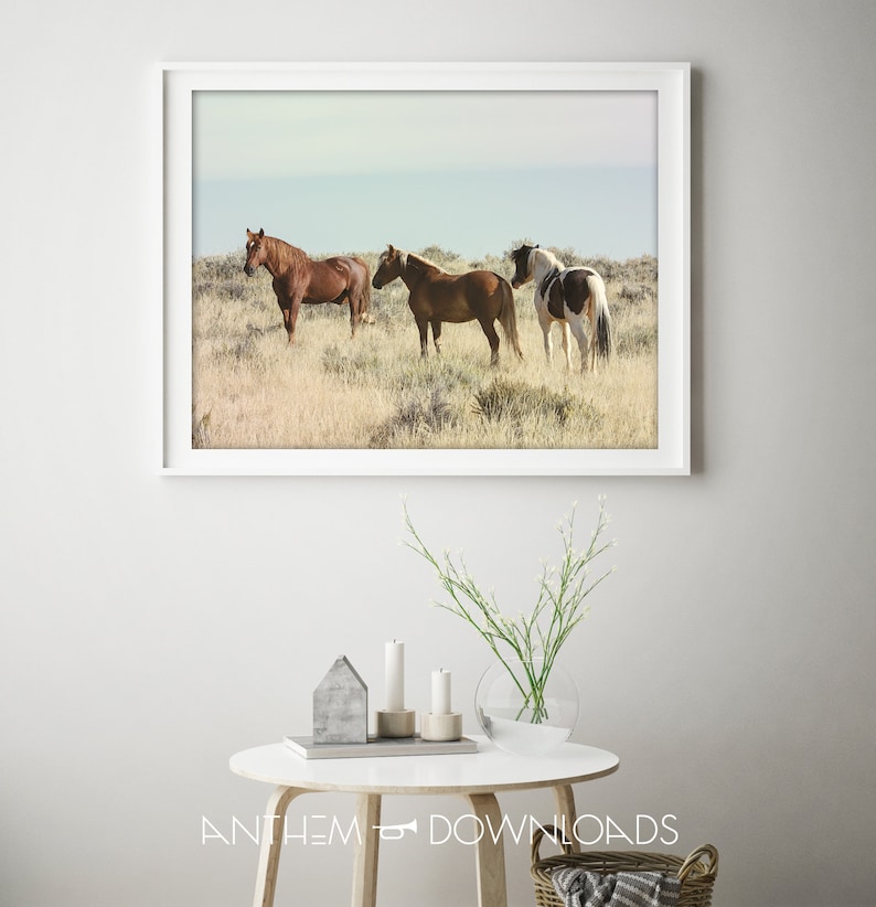 Wild Horses Art Print - Horse Farm Poster - Stallion Photo - Equestrian ...