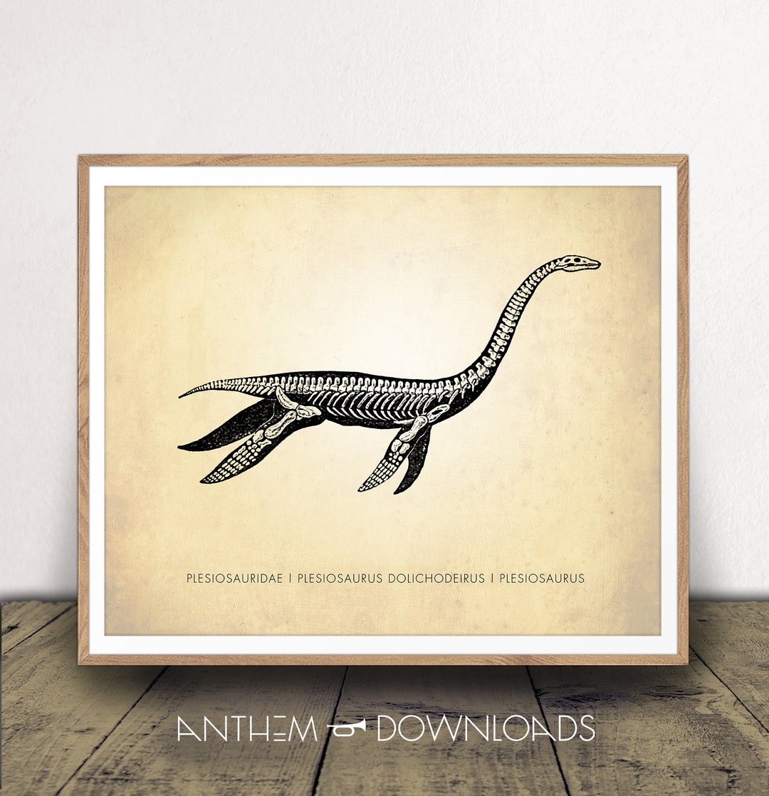 Plesiosaurus Art Print - Dinosaur Poster - Natural History Chart ...