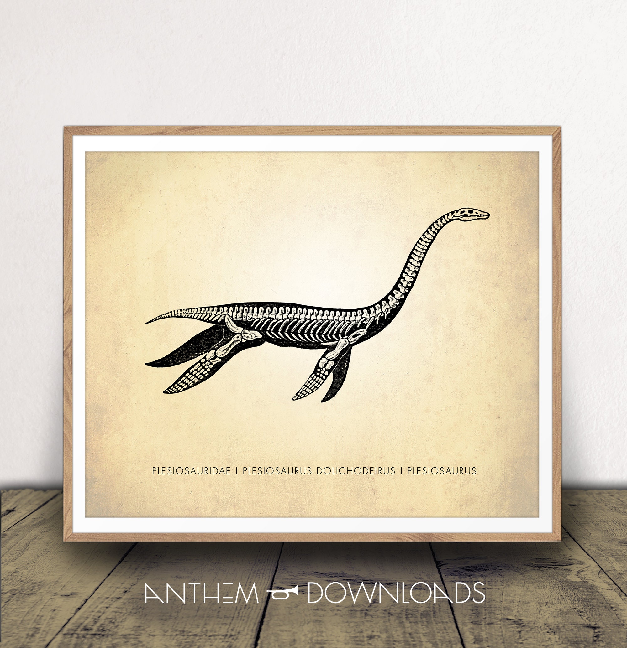 Plesiosaurus Art Print - Dinosaur Poster - Natural History Chart ...