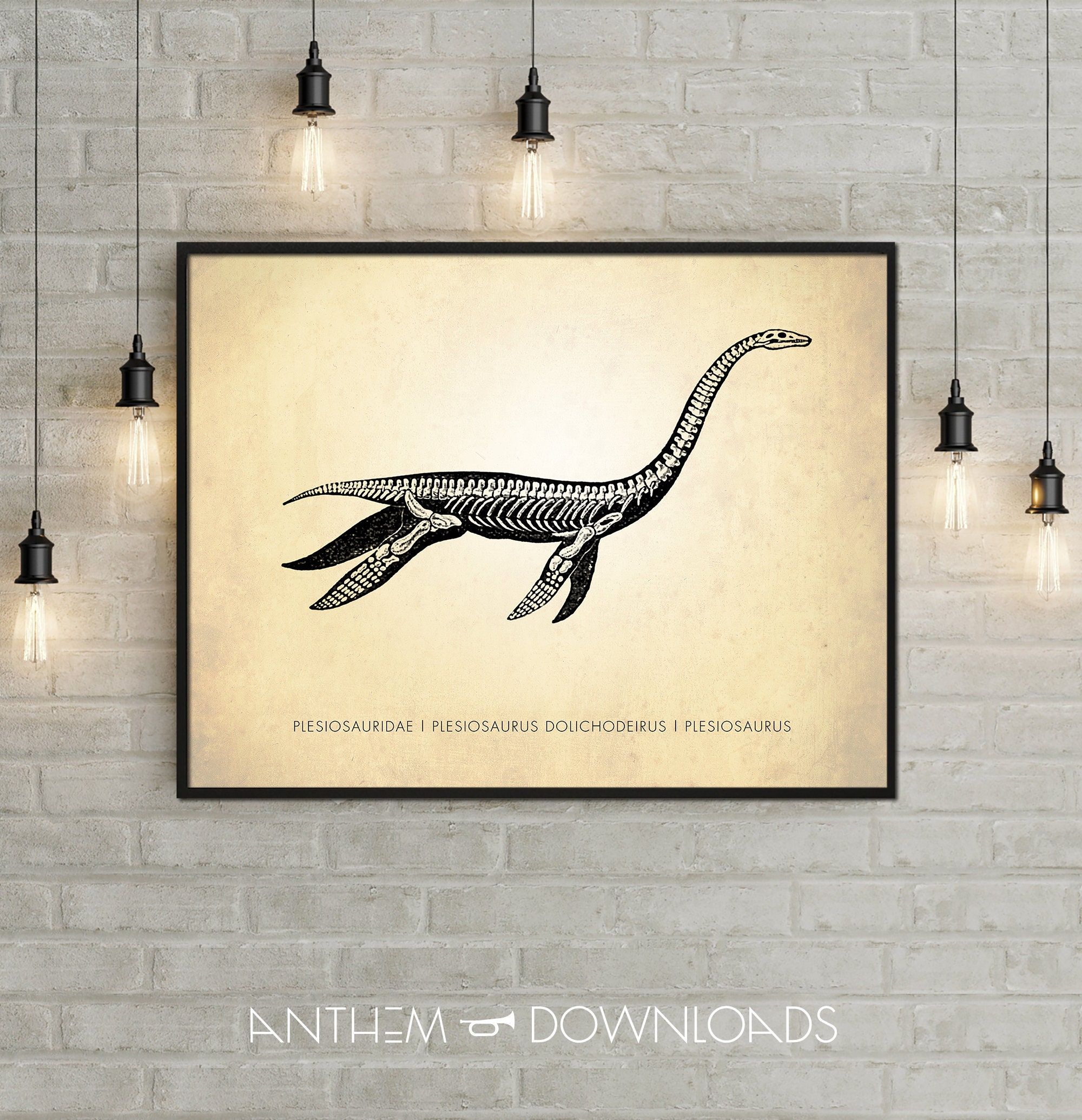 Plesiosaurus Art Print - Dinosaur Poster - Natural History Chart ...