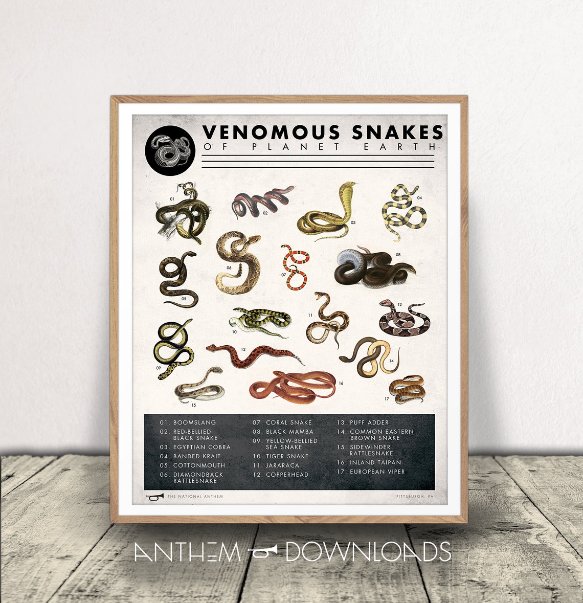 Snake Chart Venomous Snakes of Planet Earth Natural History | Etsy