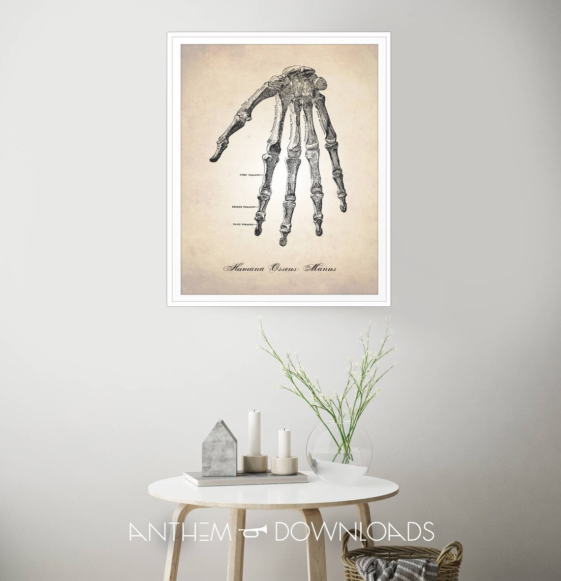Human Anatomy Hand Art Print Skeleton Hand Anatomy Poster Medical ...