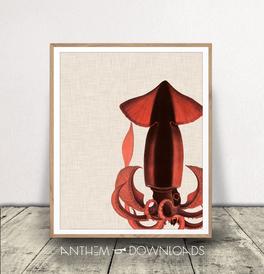 Giant Squid Art Print - Offset Squid Poster - Coastal Wall Art ...