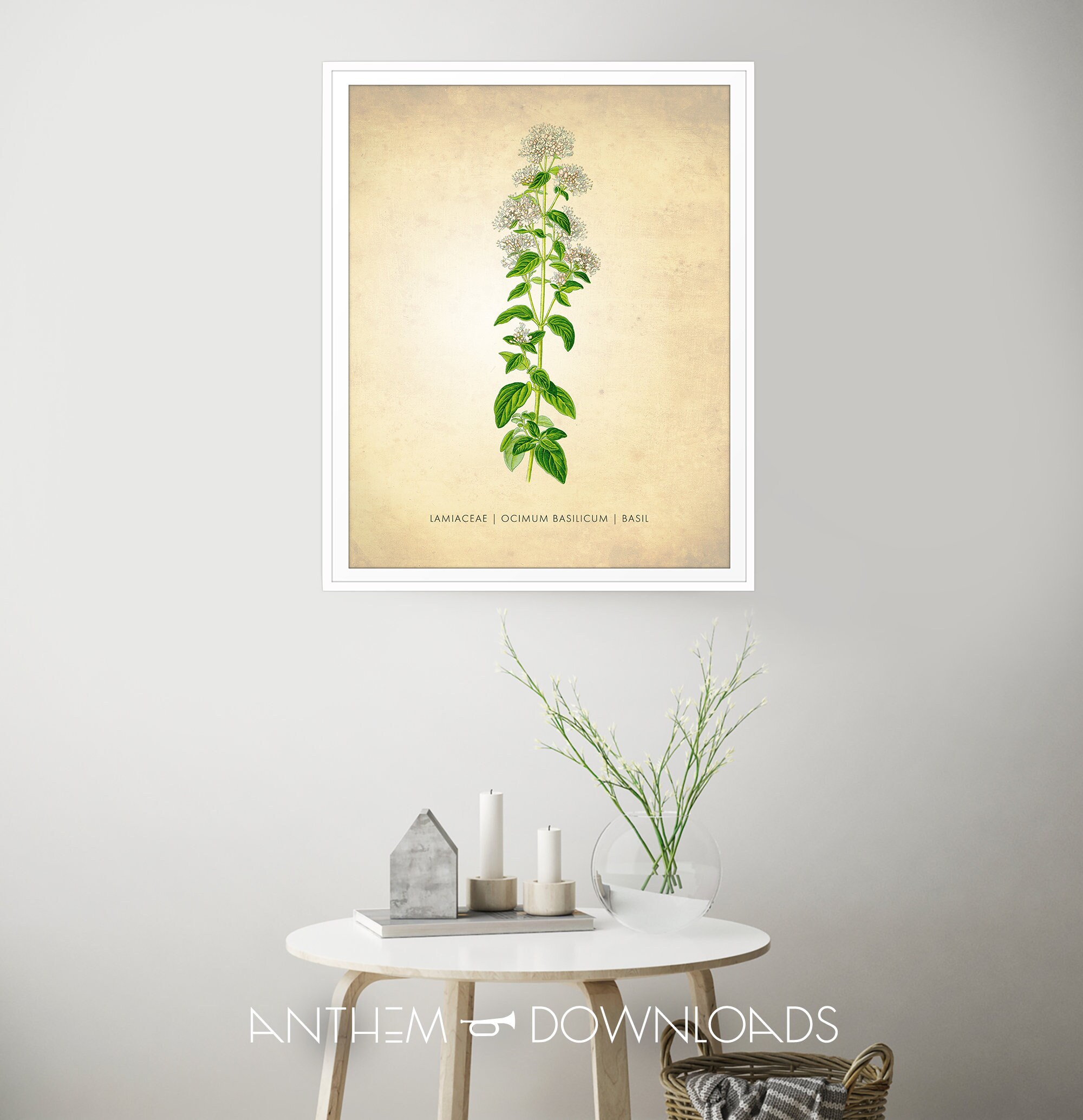 Basil Art Print Herbs and Spices Poster Kitchen Chart Cooking Decor ...