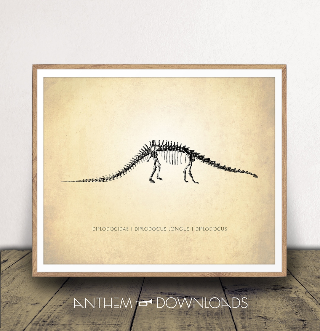 Diplodocus Art Print - Dinosaur Poster - Natural History Chart ...