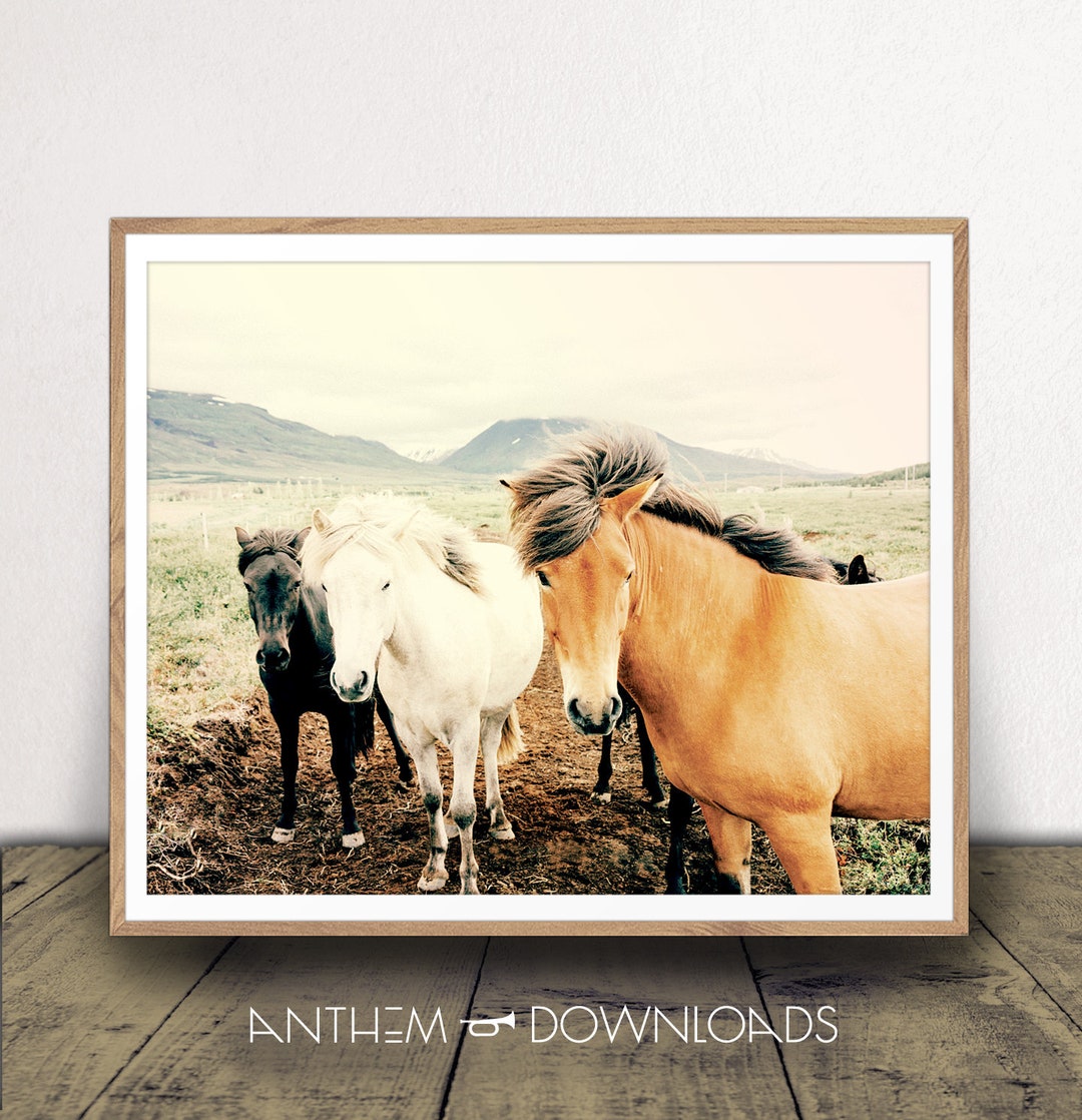 Horse Farm Art Print - Horse Poster - Animal Lover Gift - Equestrian ...