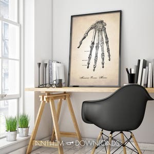 Human Anatomy Hand Art Print - Skeleton Hand - Anatomy Poster - Medical ...