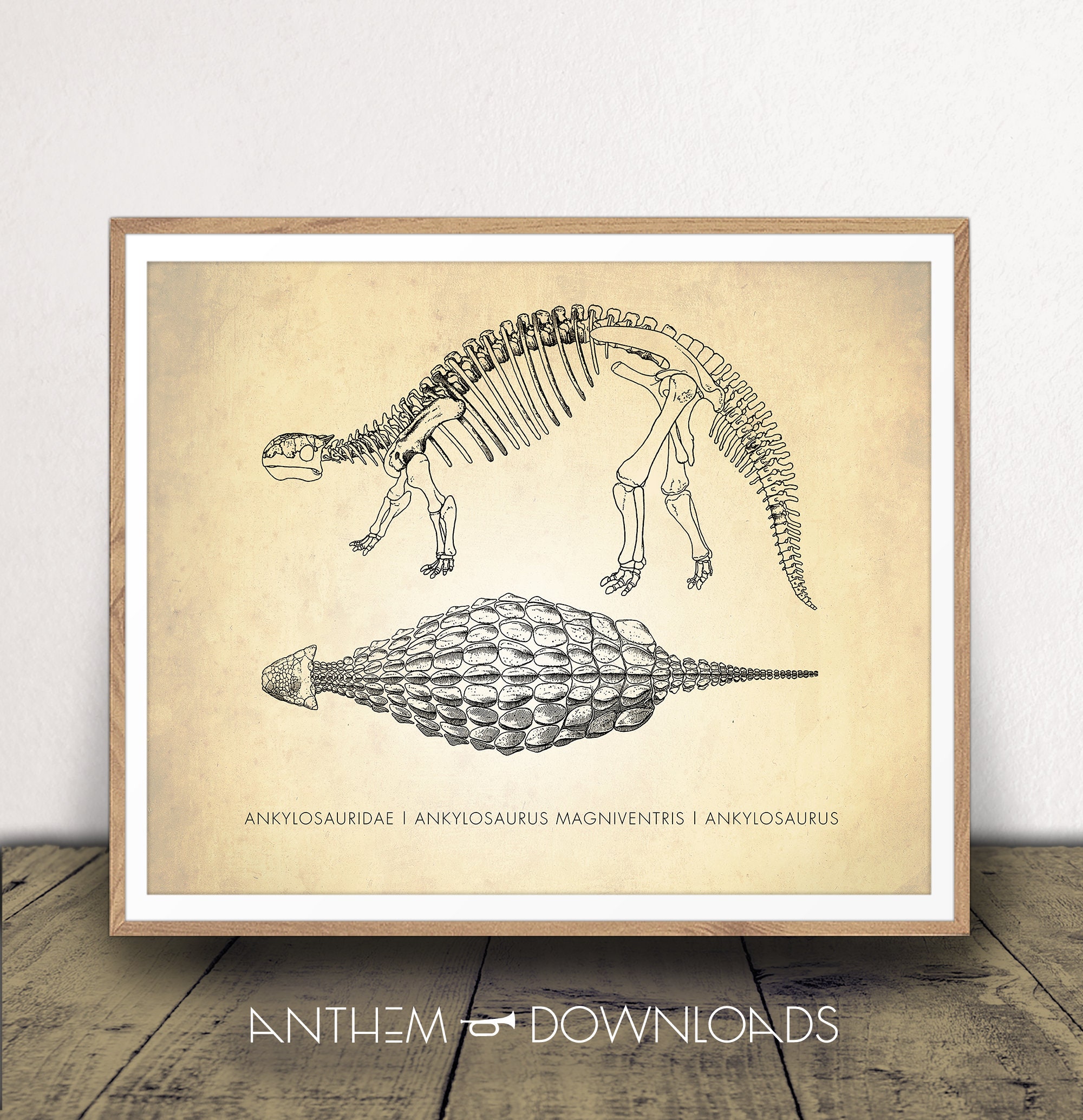 Ankylosaurus Art Print - Dinosaur Poster - Natural History Chart ...