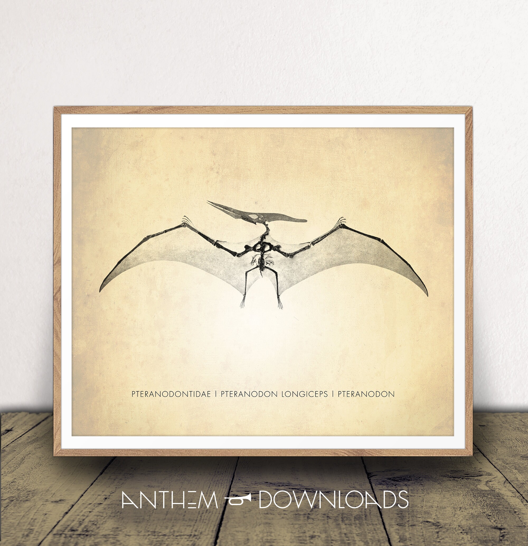 Pteranodon Art Print Dinosaur Poster Natural History Chart - Etsy