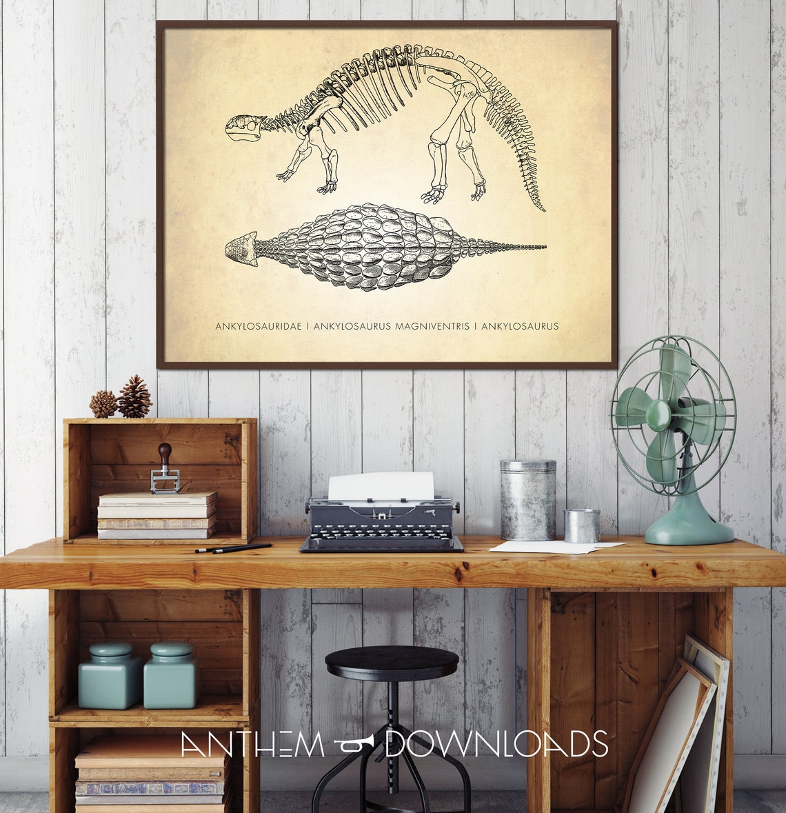 Ankylosaurus Art Print - Dinosaur Poster - Natural History Chart ...