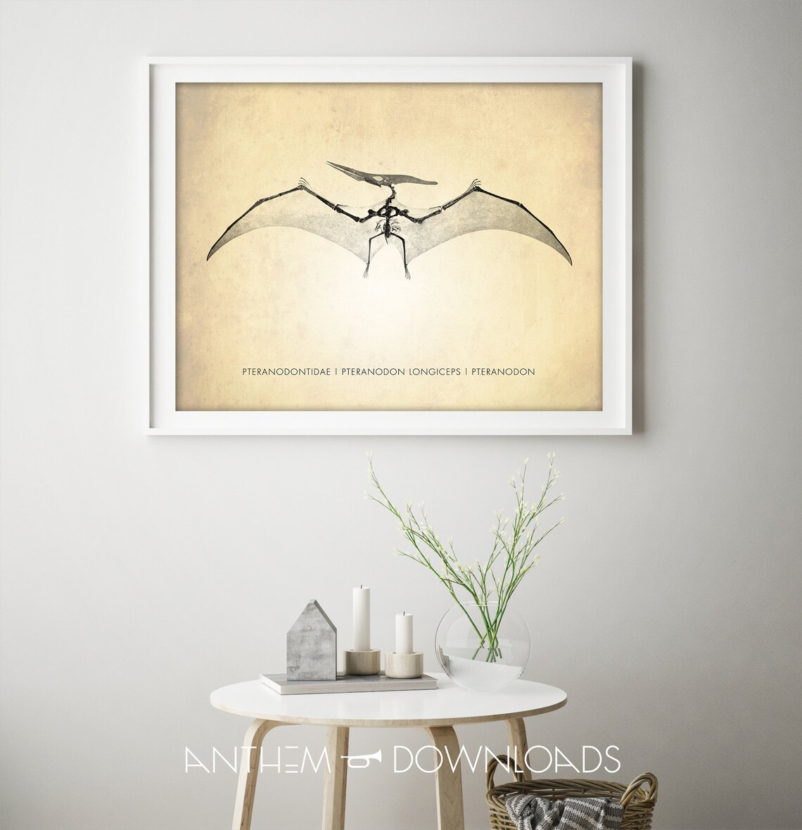 Pteranodon Art Print Dinosaur Poster Natural History Chart - Etsy