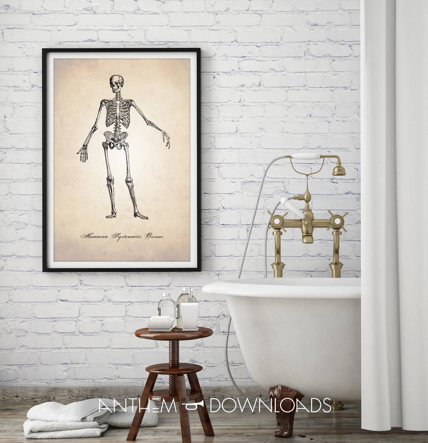 Skeletal System Art Print - Human Anatomy Wall Art - Skeleton Poster ...