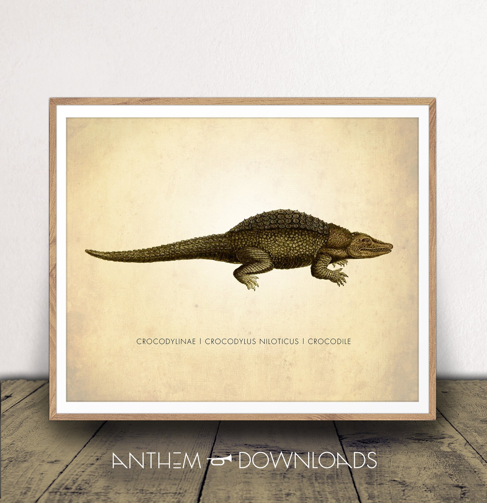 Crocodile Art Print Reptile Poster Natural History Wall Art Kids Room ...