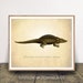 Crocodile Art Print Reptile Poster Natural History Wall Art Kids Room ...