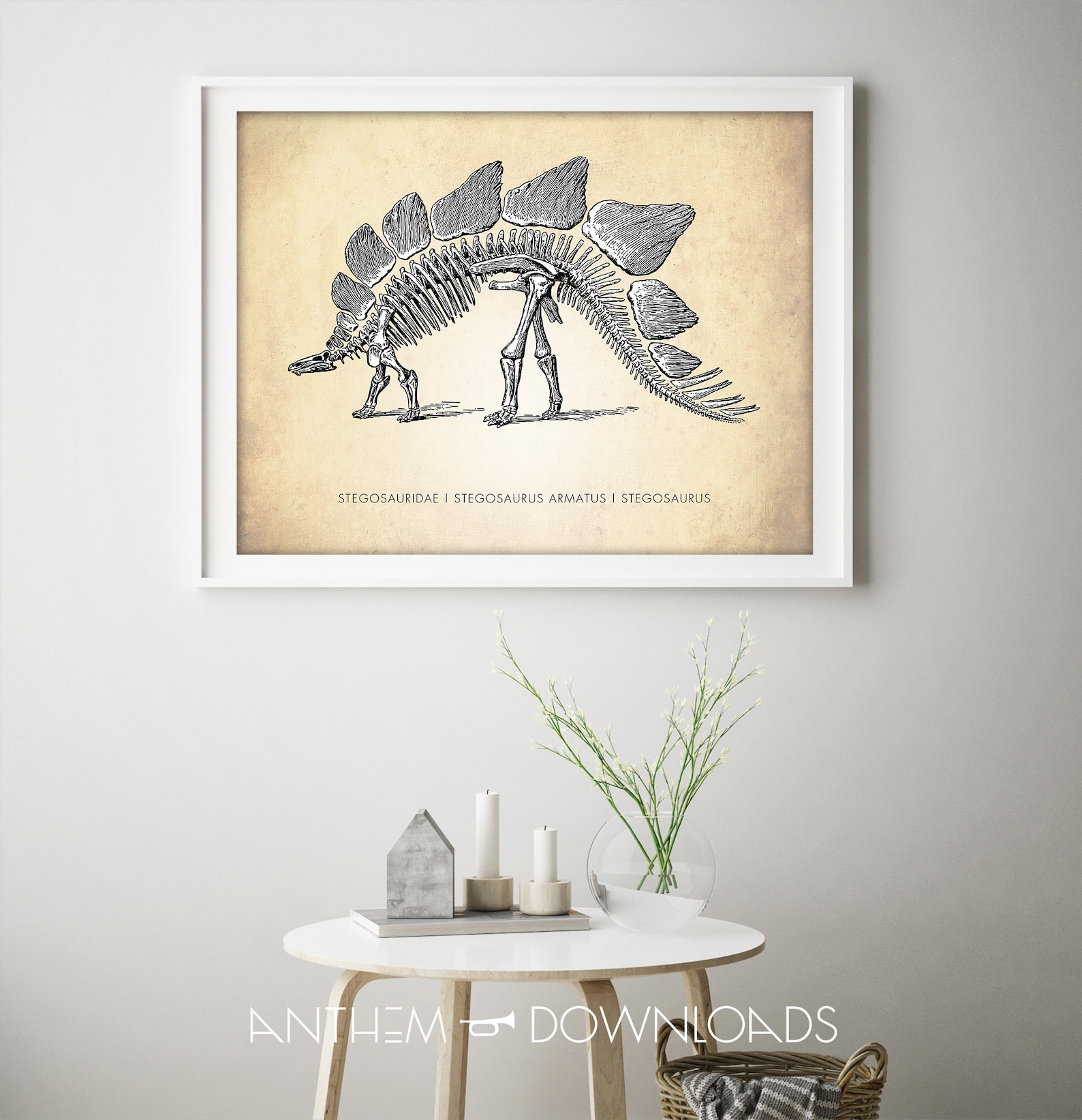 Stegosaurus Art Print Dinosaur Poster Natural History - Etsy