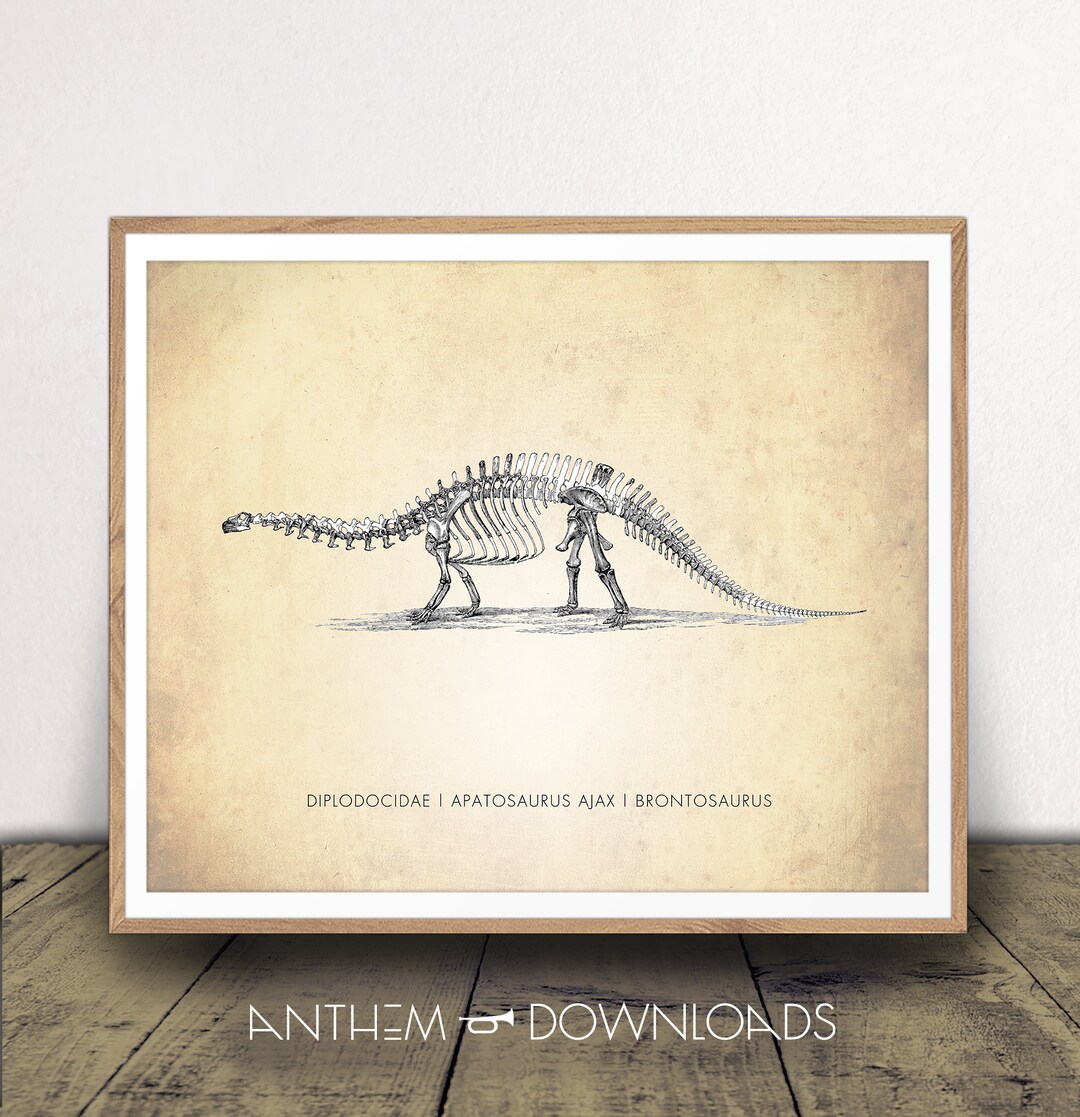 Brontosaurus Art Print - Dinosaur Poster - Natural History Chart ...