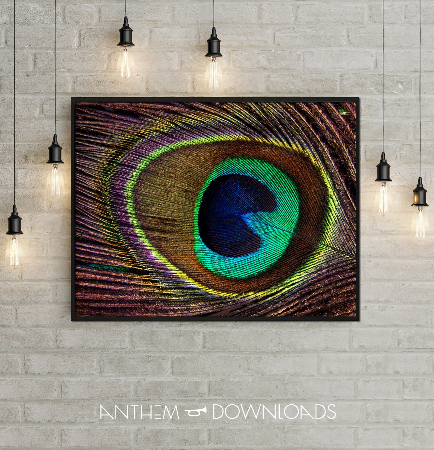 Peacock Feather Art Print - Bird Feather Poster - Animal Decor ...