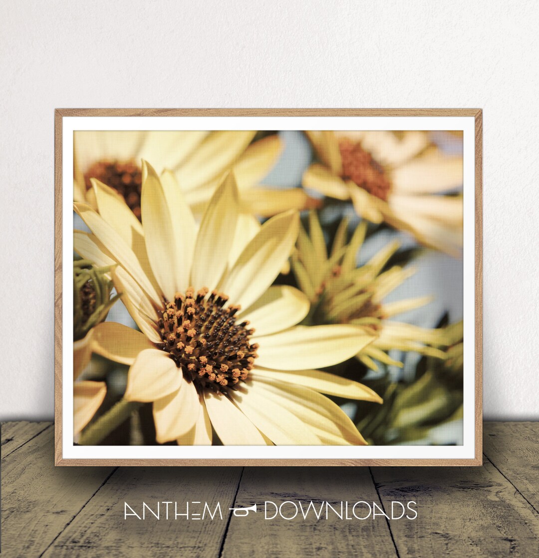 Flower Art Print - Floral Decor - Daisies Poster - Instant Download ...