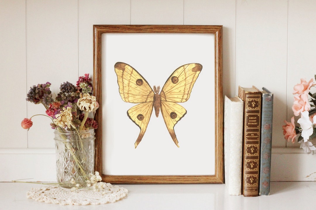 Comet Moth - Printable Art - Etsy