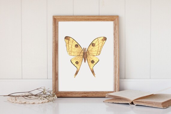 Comet Moth Printable Art | Etsy