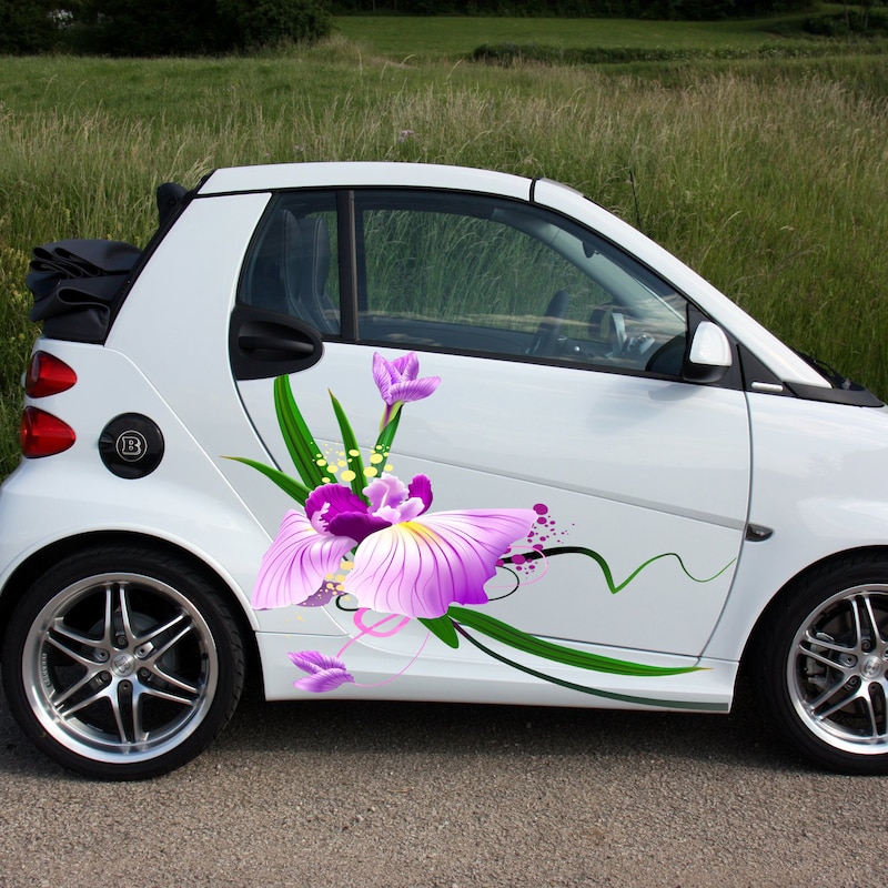 Large Car Decals - Etsy