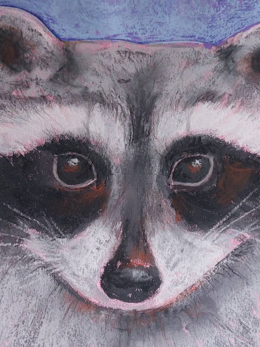 Ilustración mapache realista dibujo acrílico colores y pastel y collage ...