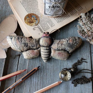 Fiber Art Farfalla Decorativo Realistico Notte Farfalla Fibra Arte ...