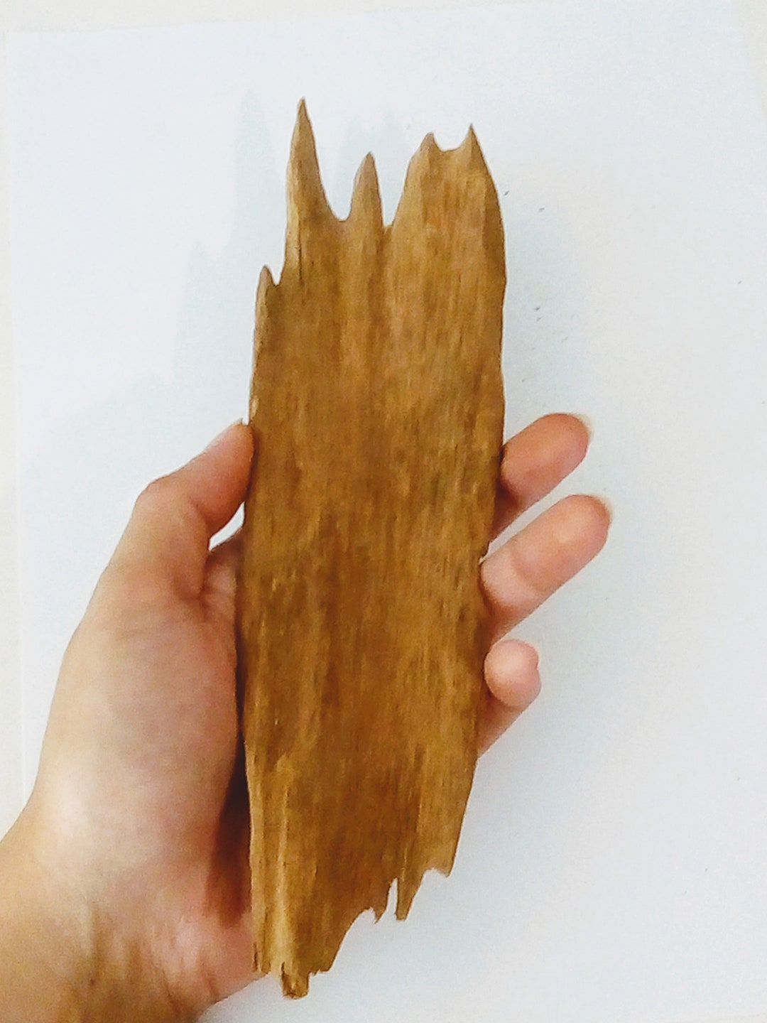 Living Wood Agarwood Decor Ambon Oud Oudh Gaharu for Feng Shui Chen ...