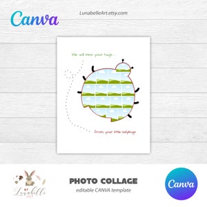 Ladybug Photo Collage | Animal Collage | Editable Photo Collage Canva ...
