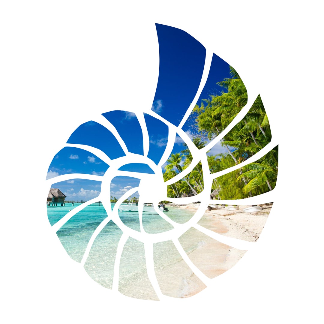 Seashell Photo Collage | Photoshop Template | Seashell Shape Collage ...
